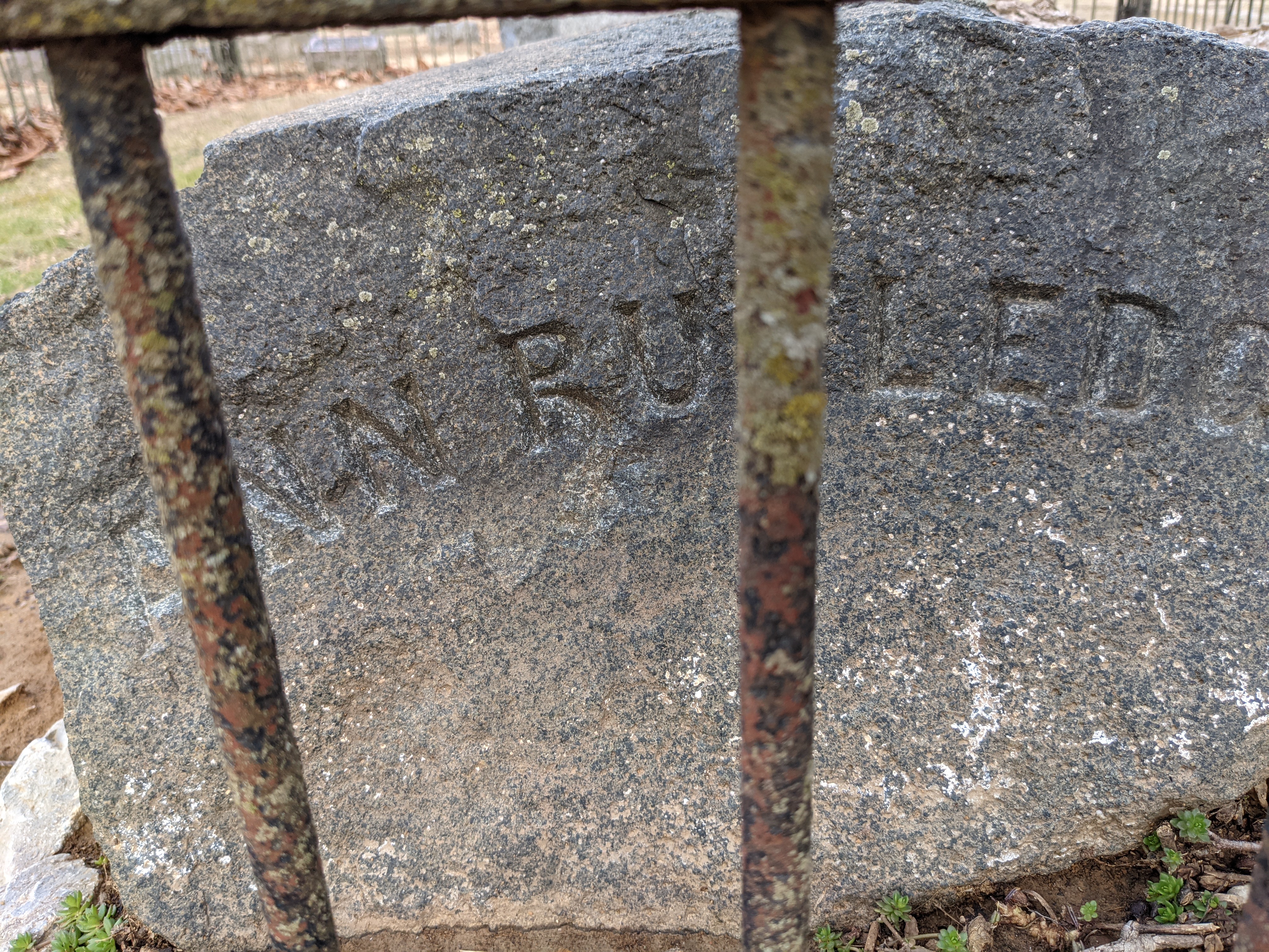 In Search of Ann Rutledge: Lincoln’s lost love. – Alan E. Hunter
