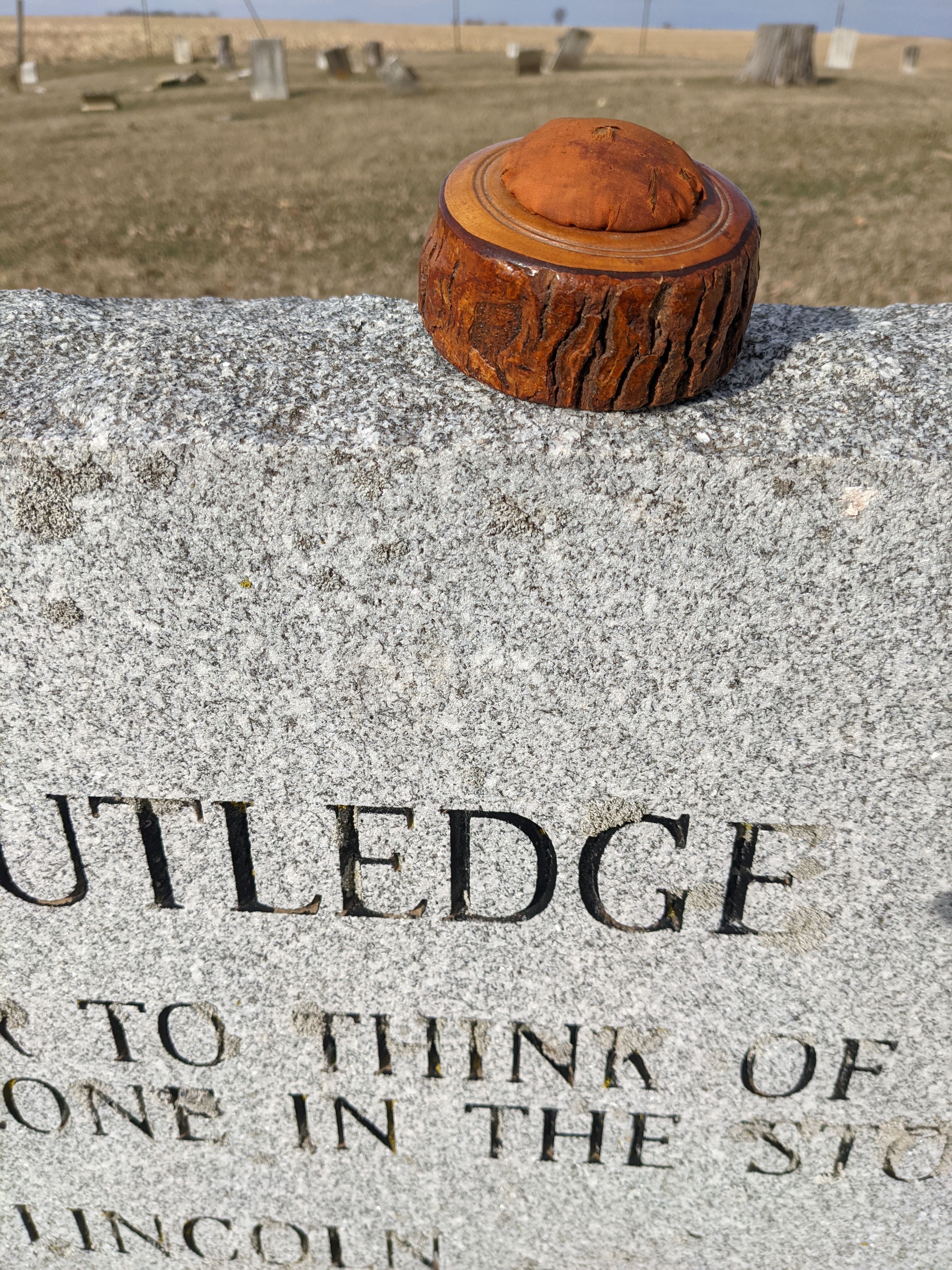In Search of Ann Rutledge: Lincoln’s lost love. – Alan E. Hunter